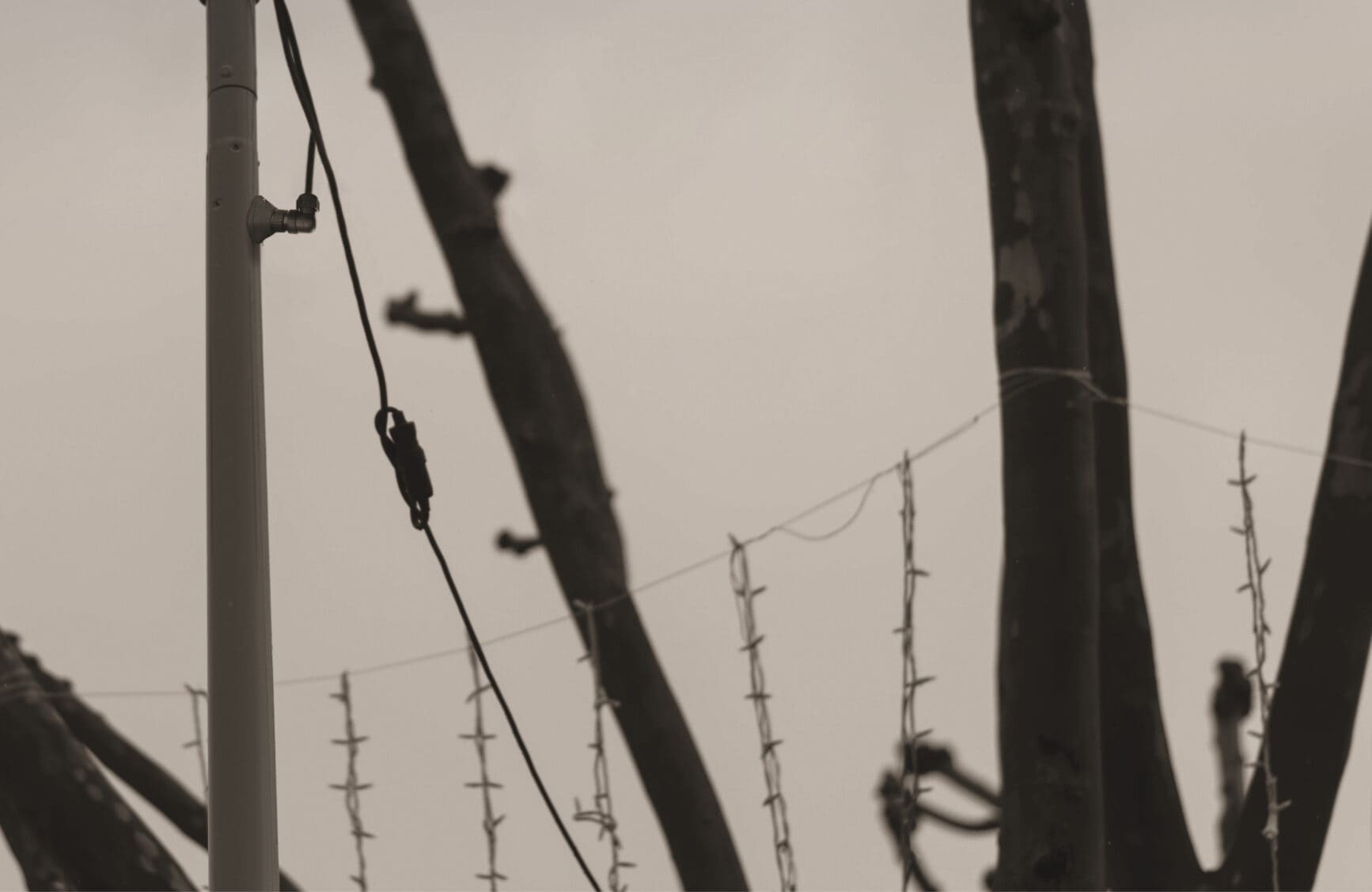 Festilum - Lacroix Environment